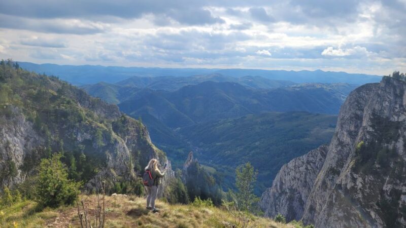From Cluj-Napoca: Apuseni Mountains Hiking Guided Day Tour - Who Should Consider This Tour?  