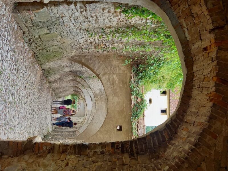 From Cluj: Sighioara and Church of Biertan Guided Tour - Practical Details and Value