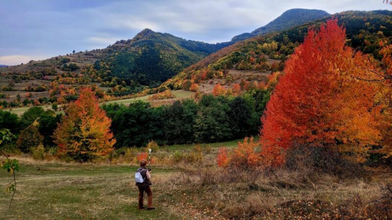 From Cluj: Turda Salt Mine, Gorge, and Remetea Full-Day Trip - Summary: Why You Should Consider This Tour