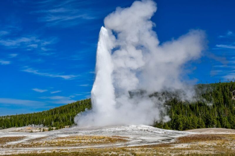 From Cody: Full-Day Yellowstone National Park Tour - An Introduction to the Experience