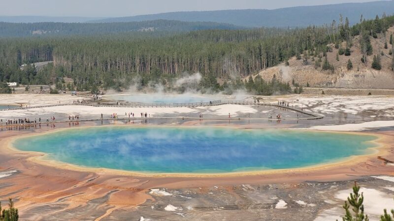 From Cody: Full-Day Yellowstone National Park Tour - Practical Tips for a Great Day