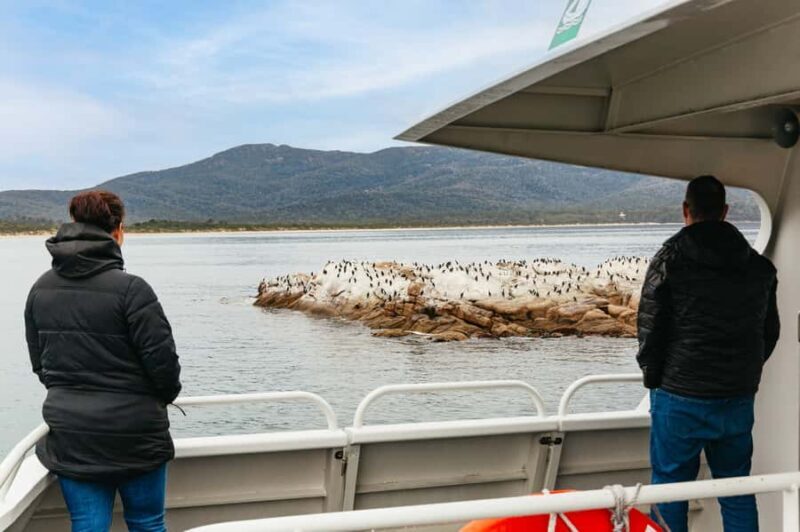 From Coles Bay: Wineglass Bay Cruise with Lunch - Who Will Love This Tour?