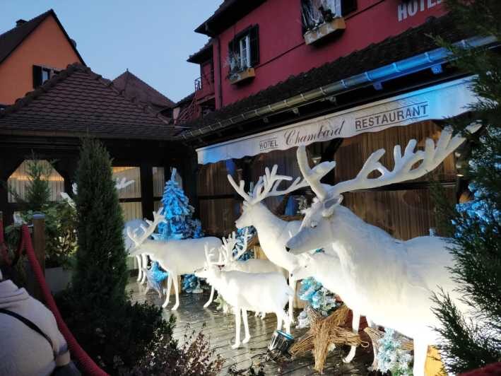 From Colmar: Christmas Markets Across 3 Borders - Transportation and Group Size