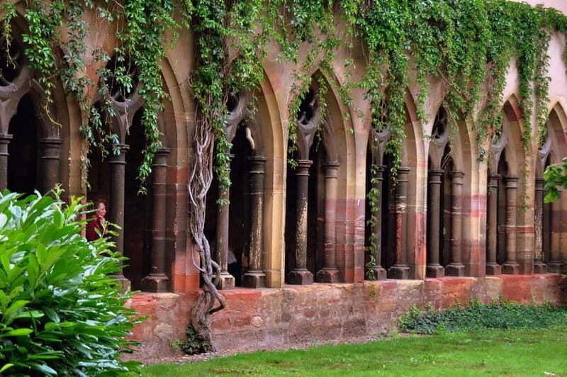 From Colmar: Haut-Koenigsbourg Castle and Villages Day Tour - FAQs