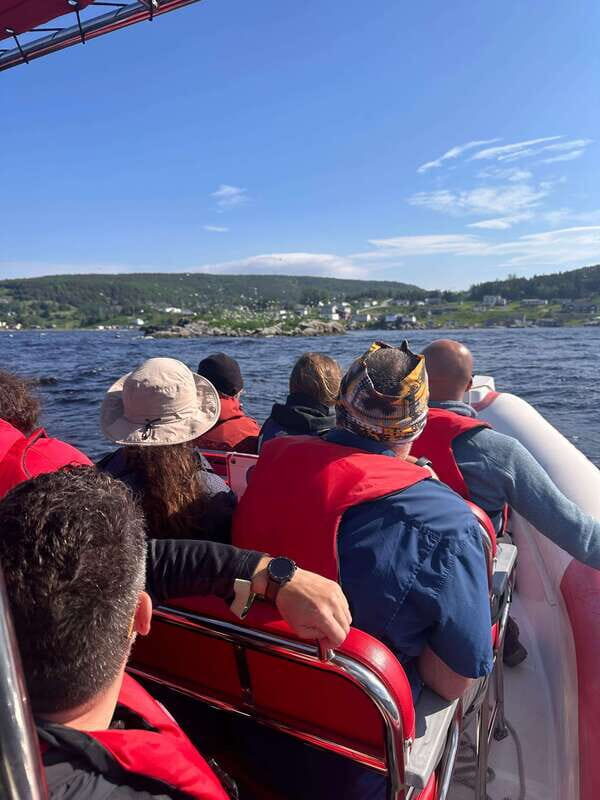 From Corner Brook : Bay Of Islands Island Zodiac Boat Tour - Key Points