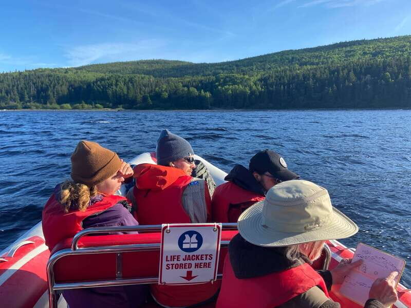 From Corner Brook : Bay Of Islands Island Zodiac Boat Tour - Exploring the Corner Brook Zodiac Boat Tour