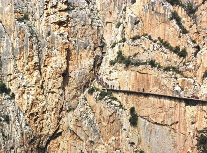 From Costa del Sol: Caminito del Rey Day Trip - The Tour Breakdown: What to Expect