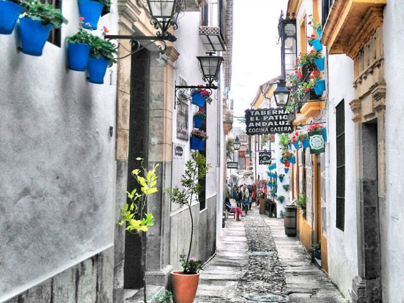 From Costa del Sol: Day Trip to Cordoba Free Time - The Return: Comfort and Reflection