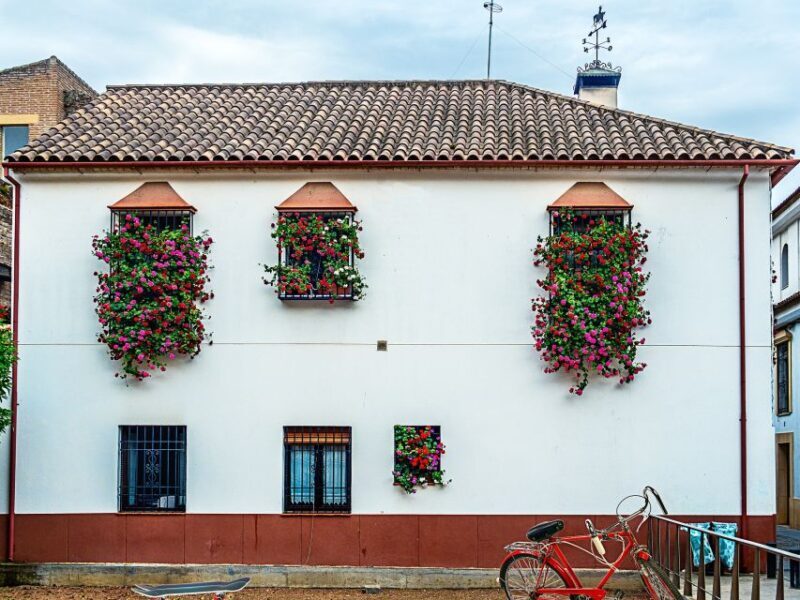 From Costa del Sol: Day Trip to Cordoba Free Time - Who Should Consider This Tour?