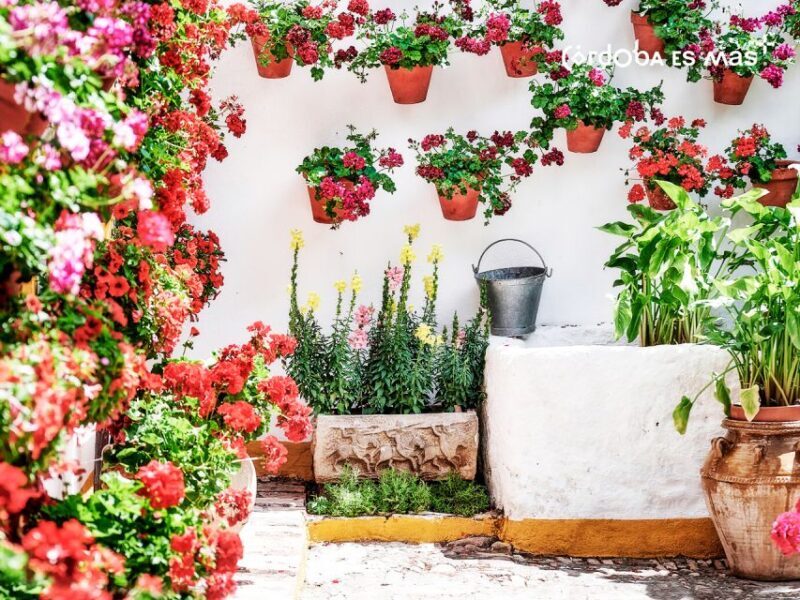 From Costa del Sol: Day Trip to Cordoba Free Time - FAQ