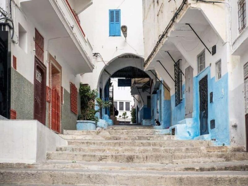 From Costa del Sol: Discover Tangier on a Guided Day Trip - Practical Details That Matter