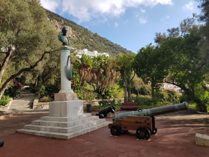 From Costa del Sol: Gibraltar Dolphin Watching by Boat - The Sum Up