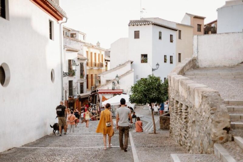 From Costa del Sol: Granada Day Trip Free Time 5h - Transportation and Comfort