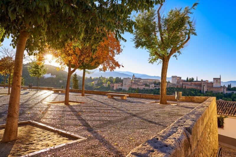 From Costa del Sol: Granada Day Trip Free Time 5h - Value for Money