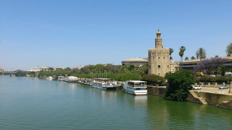 From Costa del Sol & Malaga: Seville Day Trip - Final Thoughts: Is This Tour for You?
