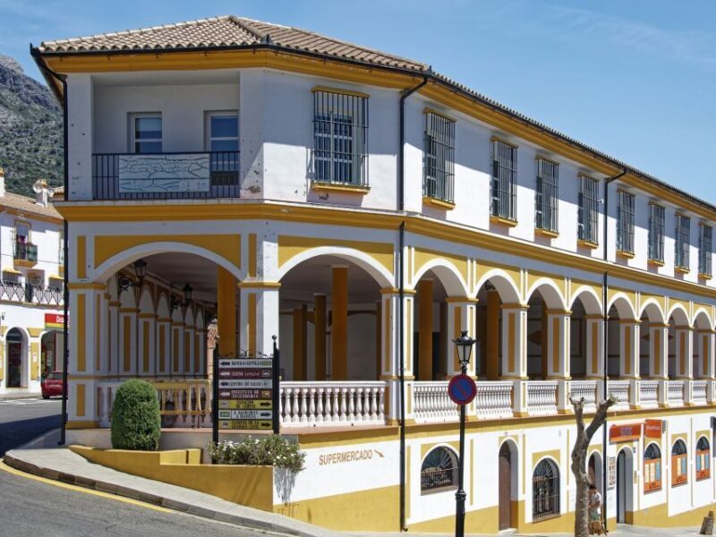 From Costa del Sol: Ronda, and Bullring Tour - Who Is This Tour Best Suited For?