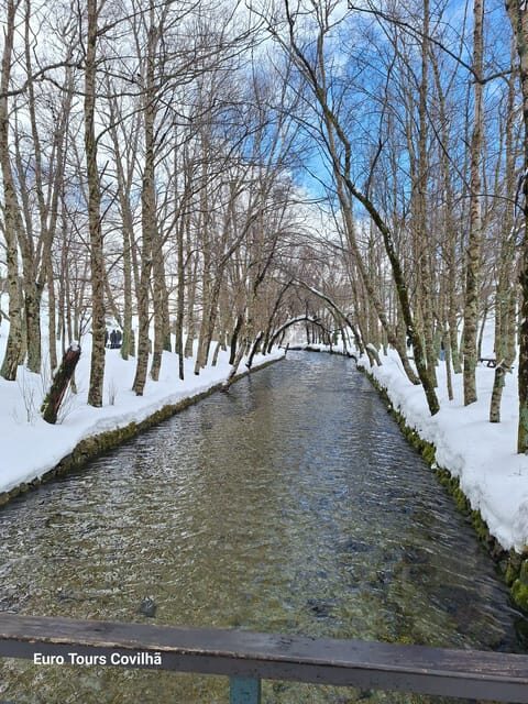 From Covilhã: Private Serra da Estrela Experience with Lunch - Key Points  