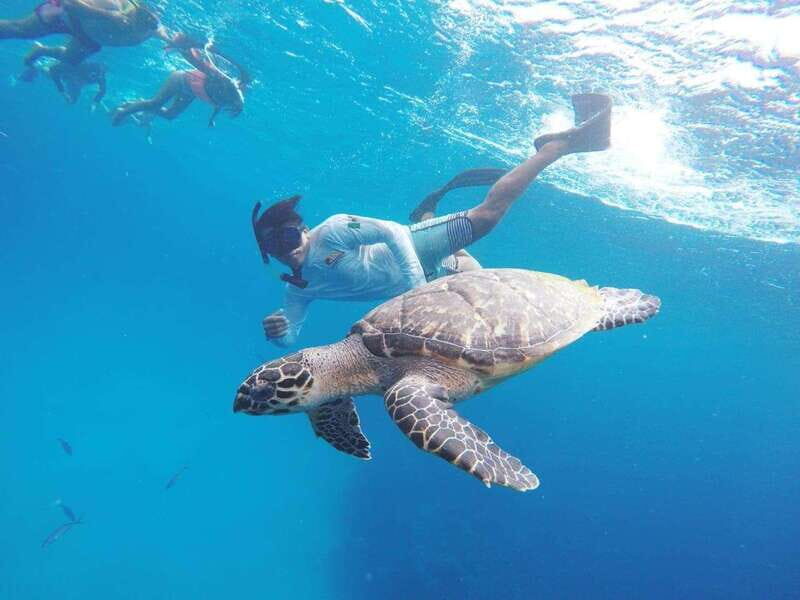 From Cozumel: 3 Reefs Boat Tour with Drinks and Snorkeling - FAQs