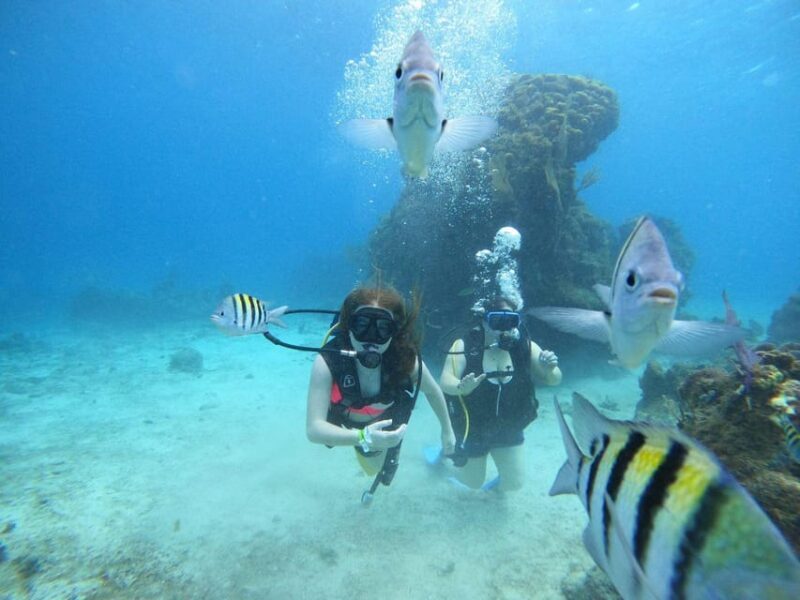 From Cozumel: Chankanaab Cozumel Scuba Diving - Who Should Consider This Tour?