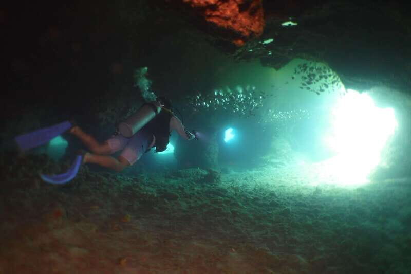 From Cozumel: Chankanaab Cozumel Scuba Diving - FAQs