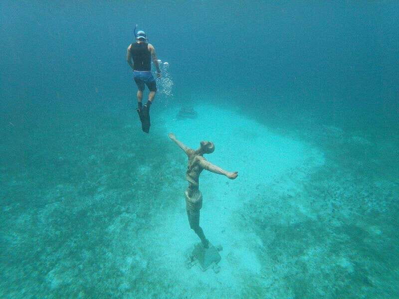 From Cozumel: Chankanaab Park Day pass with Open Bar & Lunch - Who Will Love This Tour?