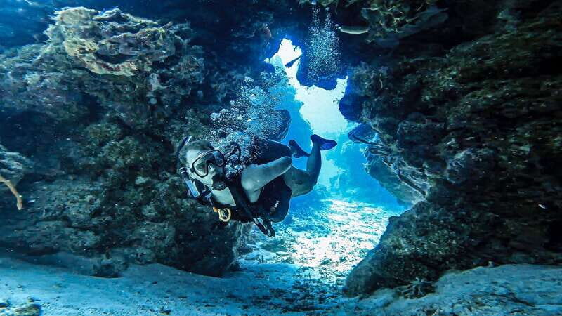 From Cozumel: Double Tank Scuba Diving for Certified Divers - FAQ