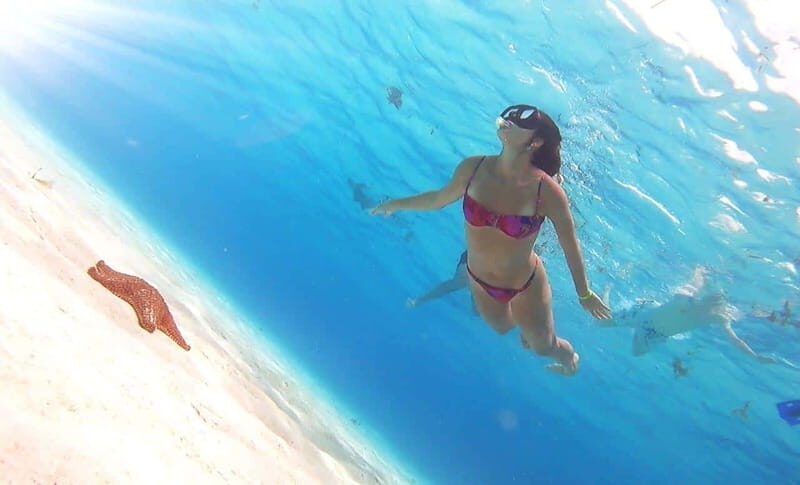 From Cozumel: El Cielo Beach by Catamaran Snorkeling Tour - An In-Depth Look at the Cozumel Snorkeling Catamaran Tour