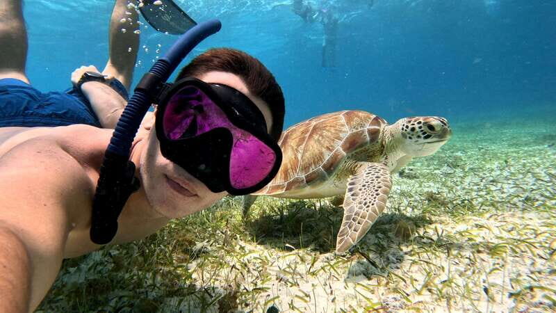 From Cozumel: Snorkel Private Charter to el Cielo & Cielito - Key Points