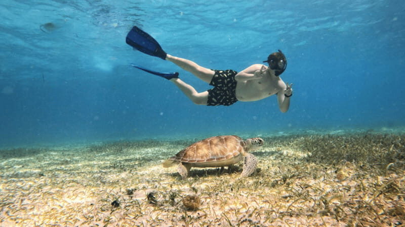 From Cozumel: Snorkel Private Charter to el Cielo & Cielito - FAQ