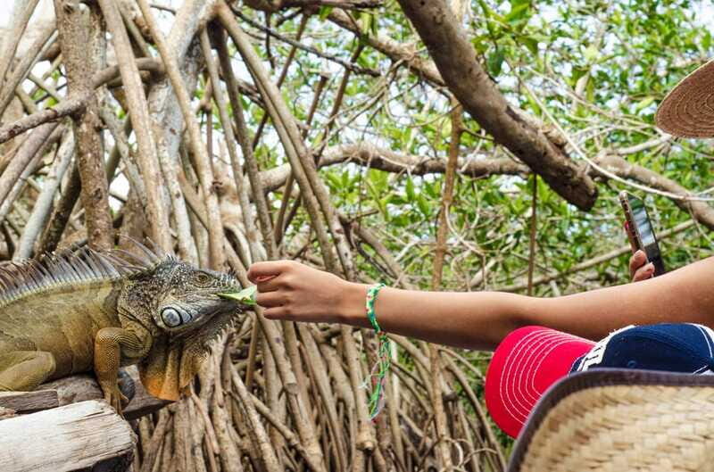 From Crucecita: Ventanilla, Zipolite, and Puerto Ángel Tour - FAQ