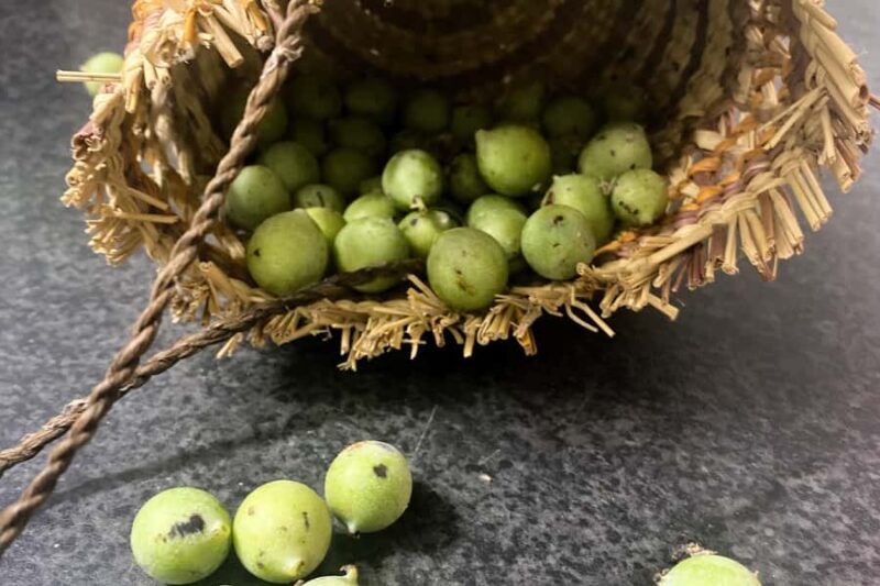 From Darwin: 2-Day Kakadu Cooinda & Yellow Water Cruise - The Sum Up