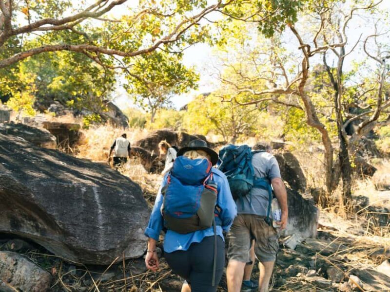 From Darwin: 4-Day Kakadu, Katherine & Litchfield Explorer - Exploring the Northern Top End: An Honest Breakdown