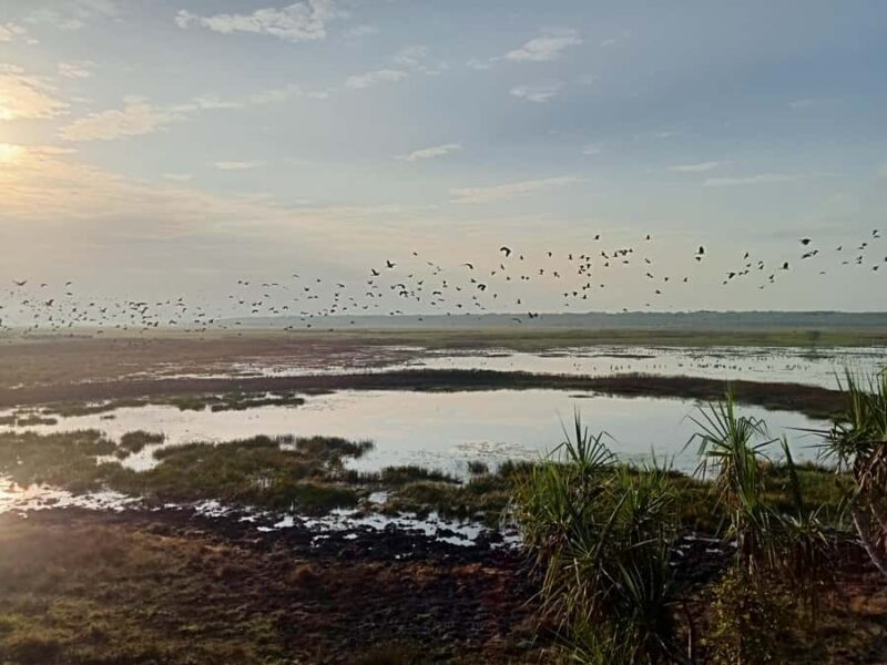 From Darwin: Kakadu 2-Day Tour - Key Points