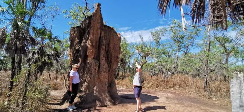 From Darwin: Litchfield National Park Small-Group Day Trip - The Reviewers’ Perspective