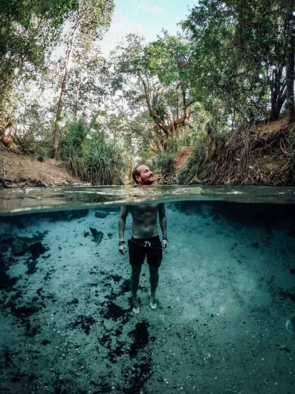 From Darwin: Nitmiluk Gorge Private Guided Tour with Cruise - Value & Cost