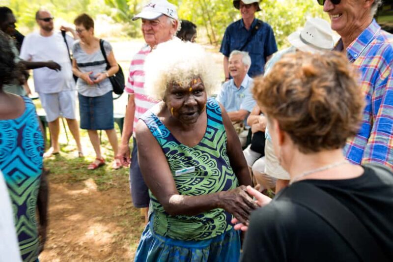 From Darwin: Tiwi Islands Aboriginal Culture Tour with Lunch - The Journey Begins: From Darwin to Bathurst Island