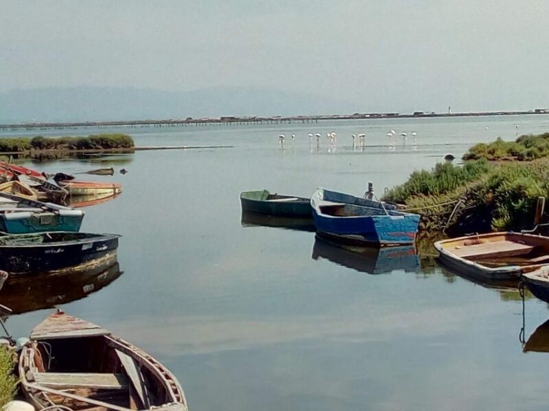 From Deltebre: Ebro Delta National Park Multi-Stop Day Trip - Introduction to the Tour Experience