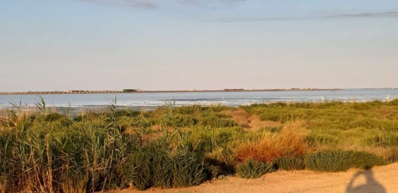 From Deltebre: Ebro Delta National Park Multi-Stop Day Trip - Who Would Love This Tour?