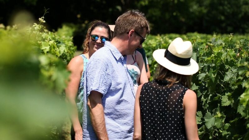 From: Dijon/Beaune: Burgundy Region Winery Tour with Lunch - Final Thoughts