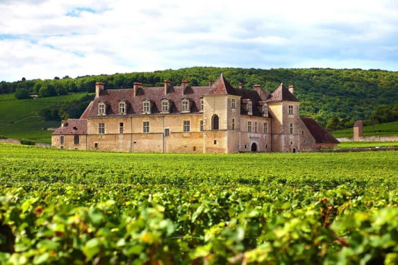 From Dijon: Côte de Nuits Wine-Tasting Tour - What Reviewers Say