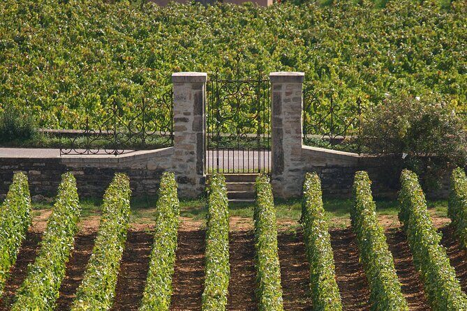 From Dijon: Full day the most of Burgundy with lunch - The Sum Up