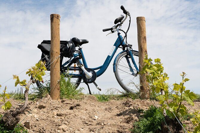 From Dijon or Beaune: E-Bike Burgundy day tour, tastings & lunch - Practical Details and Considerations