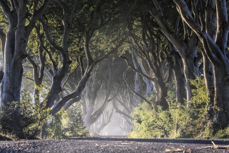 From Dublin: Giant's Causeway Tour and Whiskey Tasting - The Sum Up