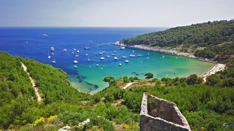 From Dubrovnik: Full-Day Private Boat Tour of Elafiti Island - What Makes This Tour Stand Out?