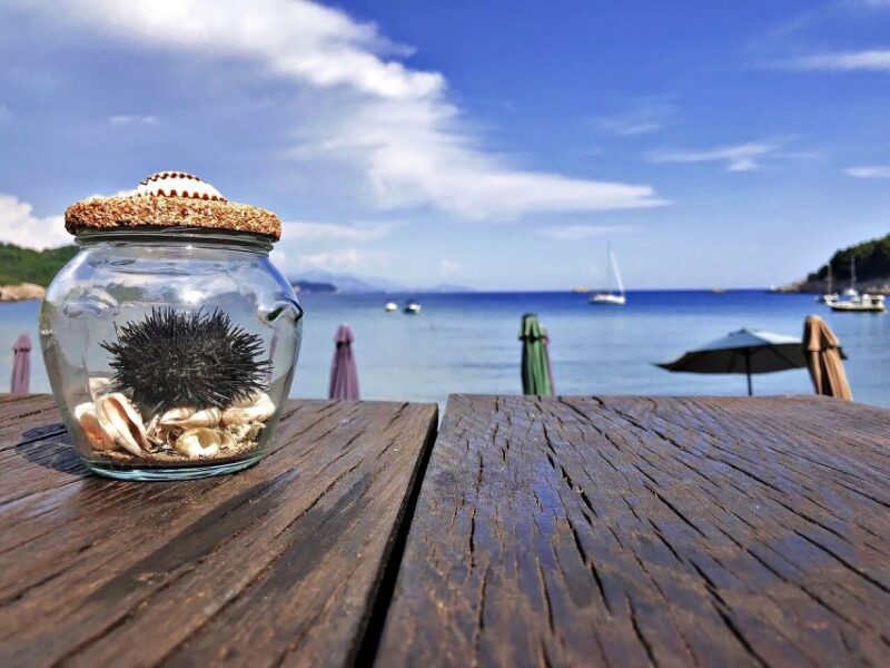 From Dubrovnik: Full-Day Private Boat Tour of Elafiti Island - The Practical Side: What to Expect