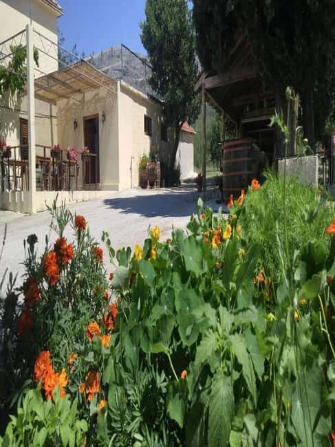 From Dubrovnik: Half-Day Wine Tasting and Cavtat City Tour - Key Points