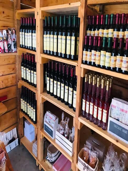 From Dubrovnik: Half-Day Wine Tasting and Cavtat City Tour - A Practical Breakdown of the Tour