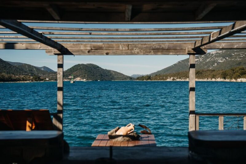 From Dubrovnik: Mali Ston Oyster Paradise Tour with Transfer - The Sum Up