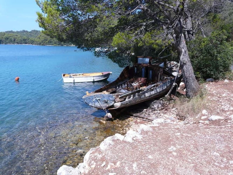 From Dubrovnik: Mljet Island Guided Catamaran Day Tour - Key Points