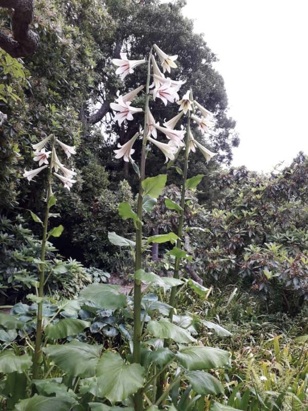From Dunedin: City, Otago Peninsula & Albatross Guided Tour - Lunch & Rest Stops